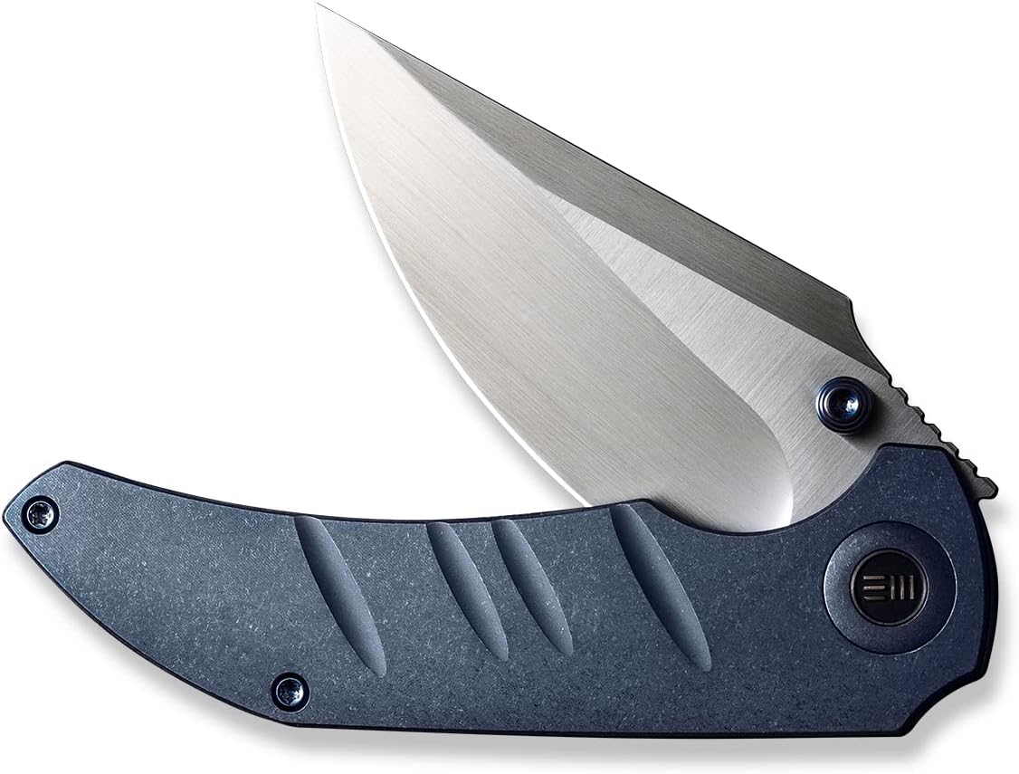 Amazon.com : We Knife WE22020B2: Riff-Raff Framelock Blue : Sports ...