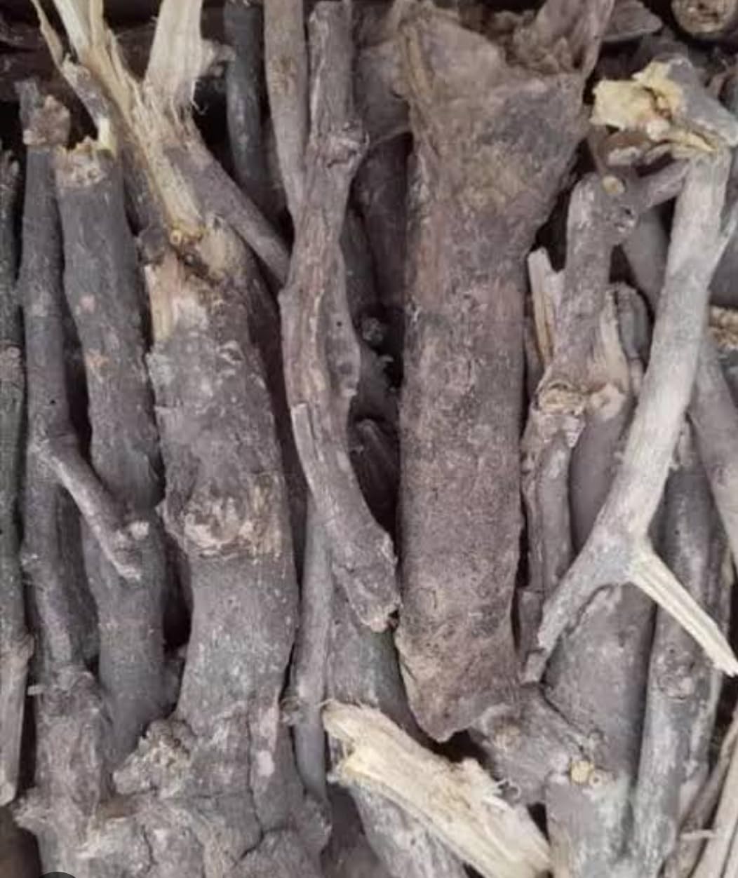 Aadityaa's Bel Wood Bael Bilva Bel Tree Hawan Havan Wood Sliced Cutting ...