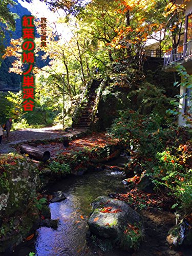 Amazon.com: Ryosai : Photo collection of the fallen-leaved Hatonosu ...