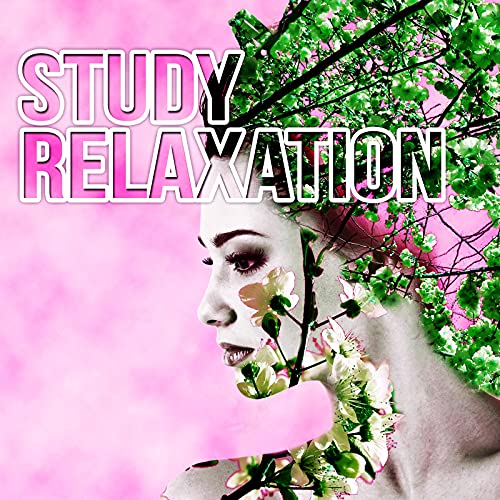 Study Relaxation - Music for Work, Music for the Classroom ...