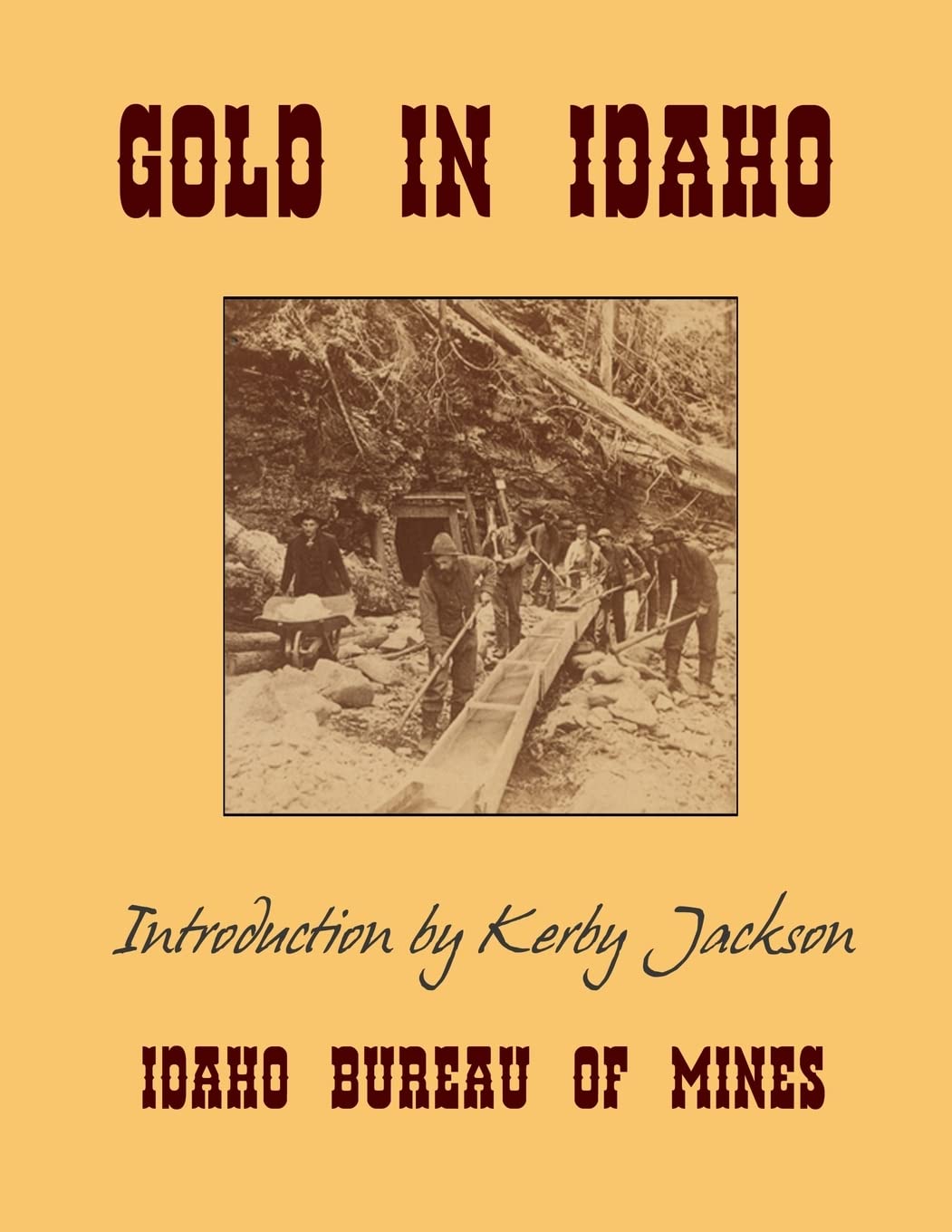 Gold In Idaho: of Mines, Idaho Bureau, Jackson, Kerby: 9781495952067 ...