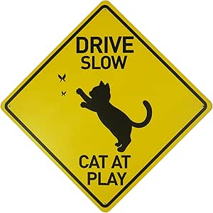 Amazon.com: BTHUKO Drive Slow Cats at Play - 12" Diamond Aluminum ...