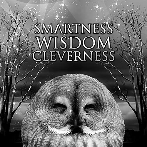 Smartness, Wisdom, Cleverness – Bach, Mozart, Schubert Music for Your ...