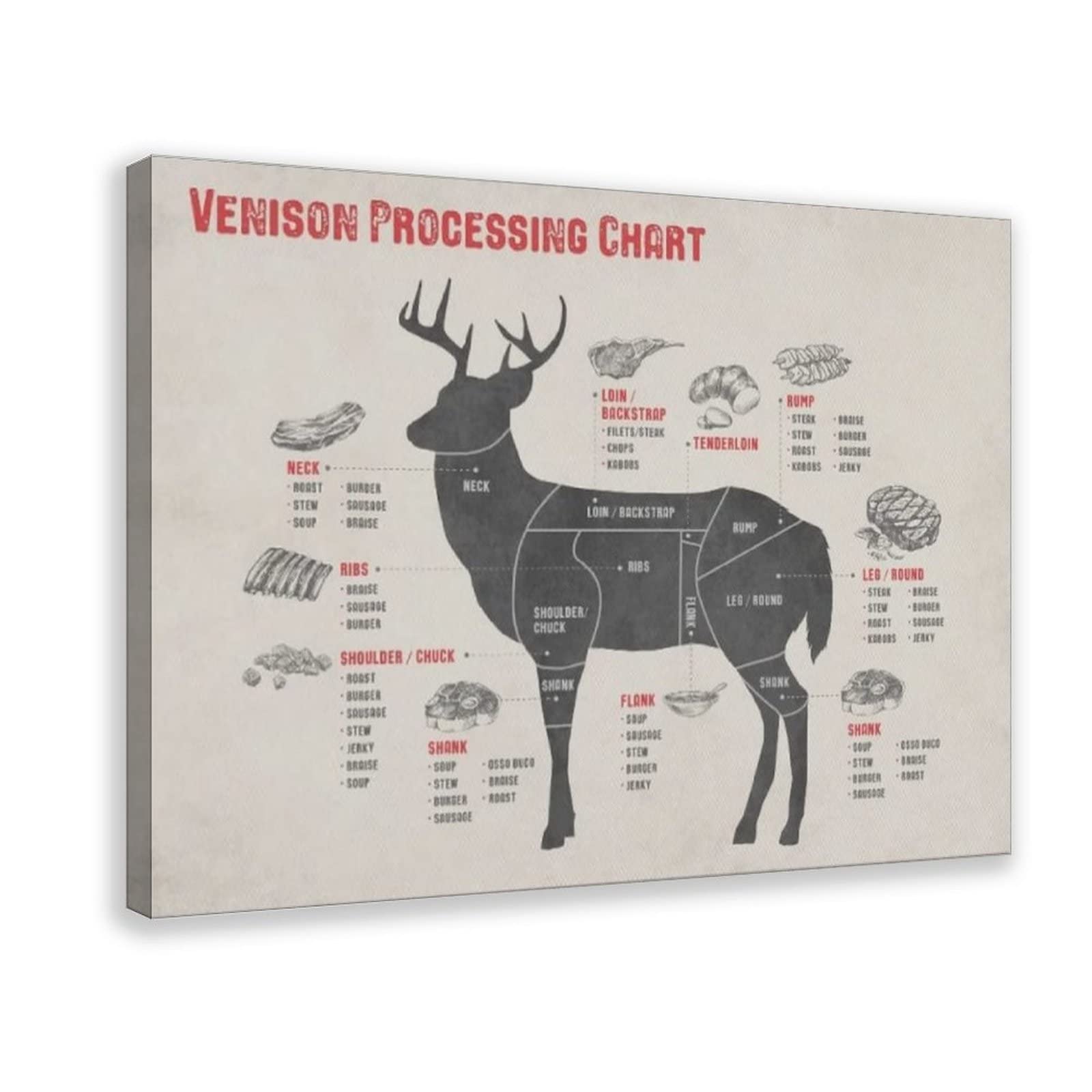 Venison Cuts
