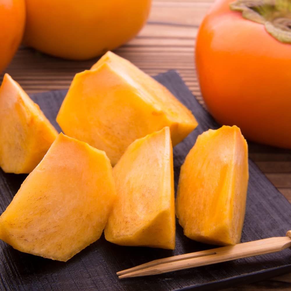 Persimmon Tree Plant Live, American Persimmon Tree Fast Growing ...