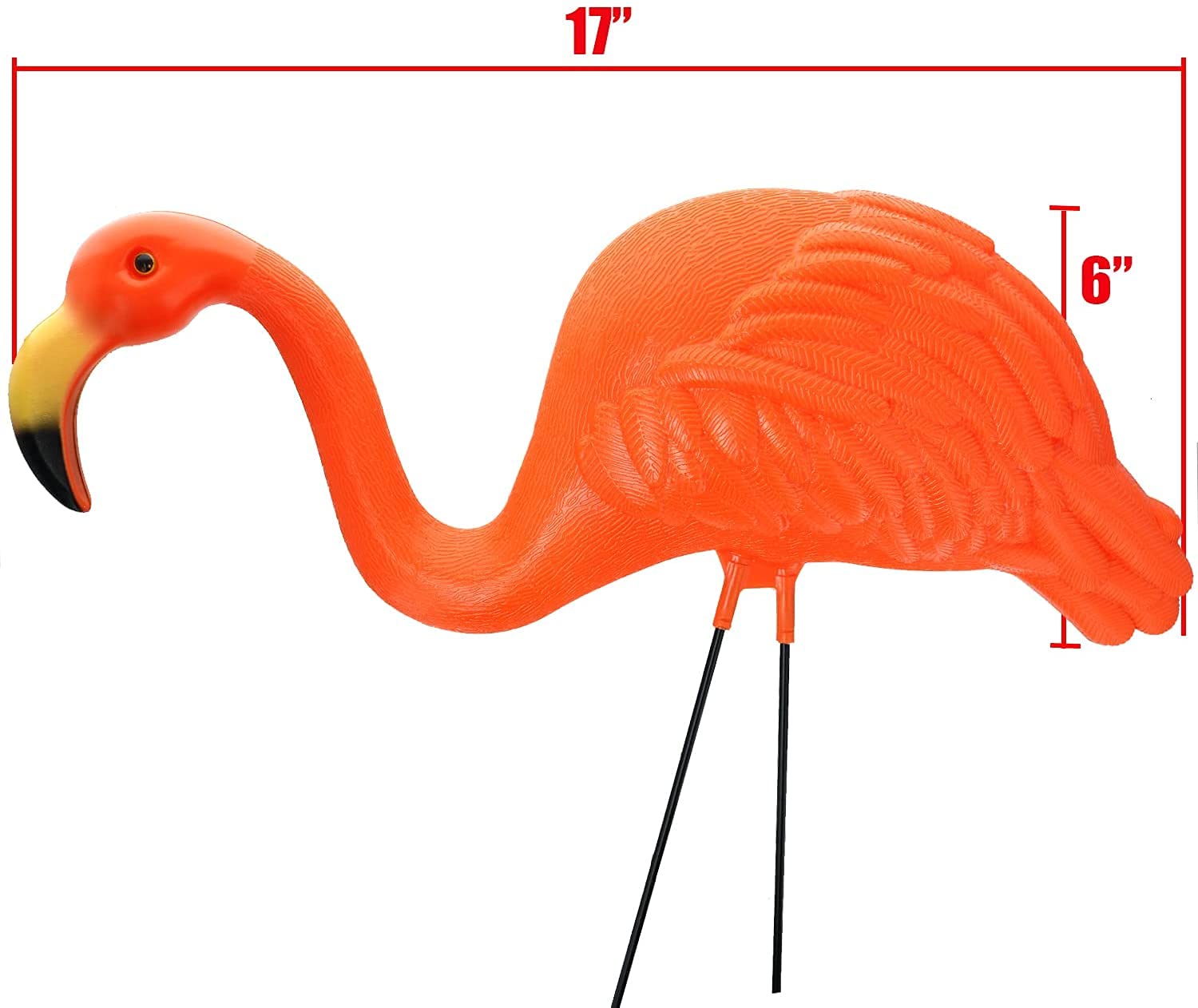 Orange Flamingo