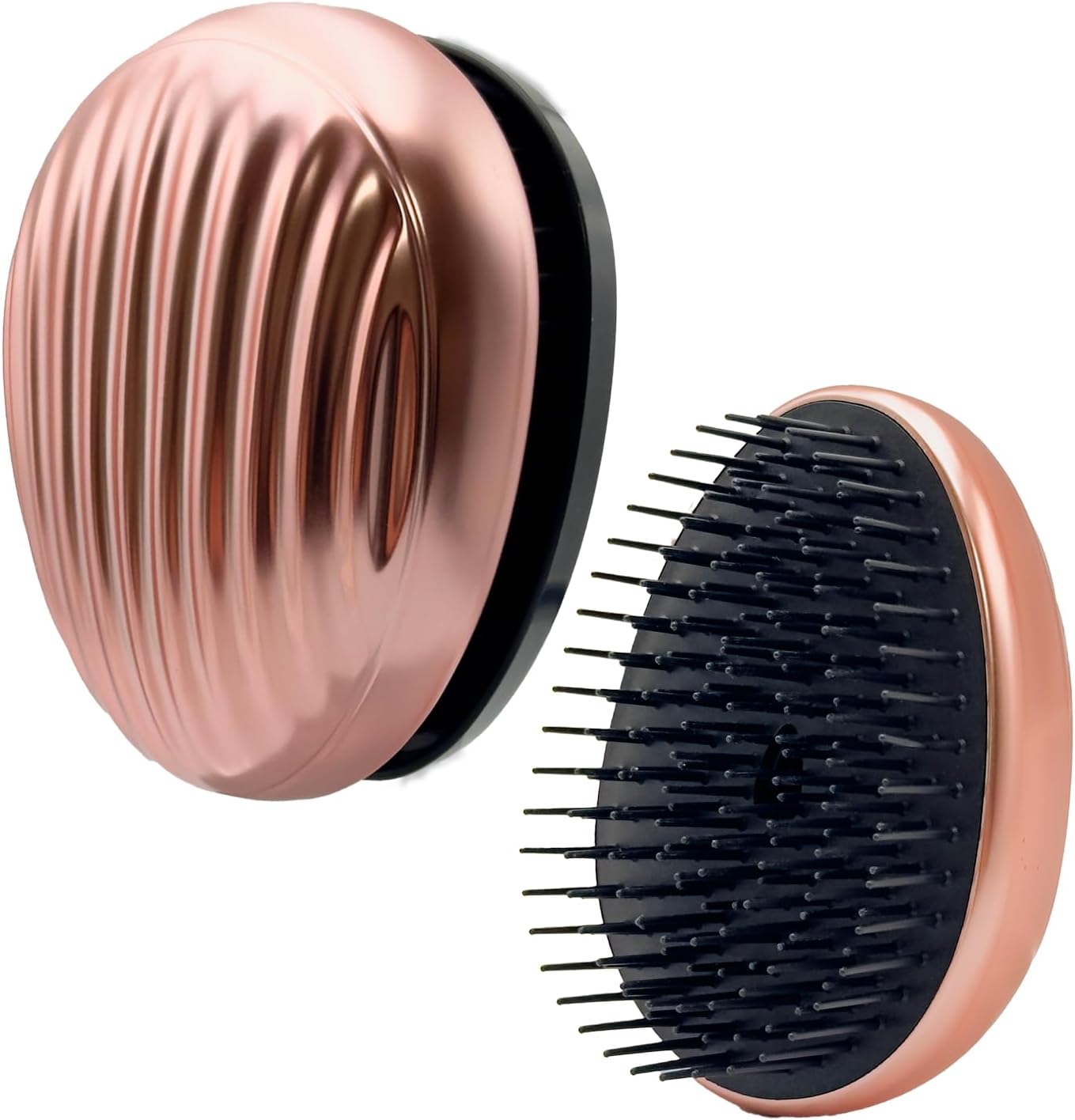 Amazon.com : WYNK Shell Shaped Travel Hair Brush - Detangling Brush for ...