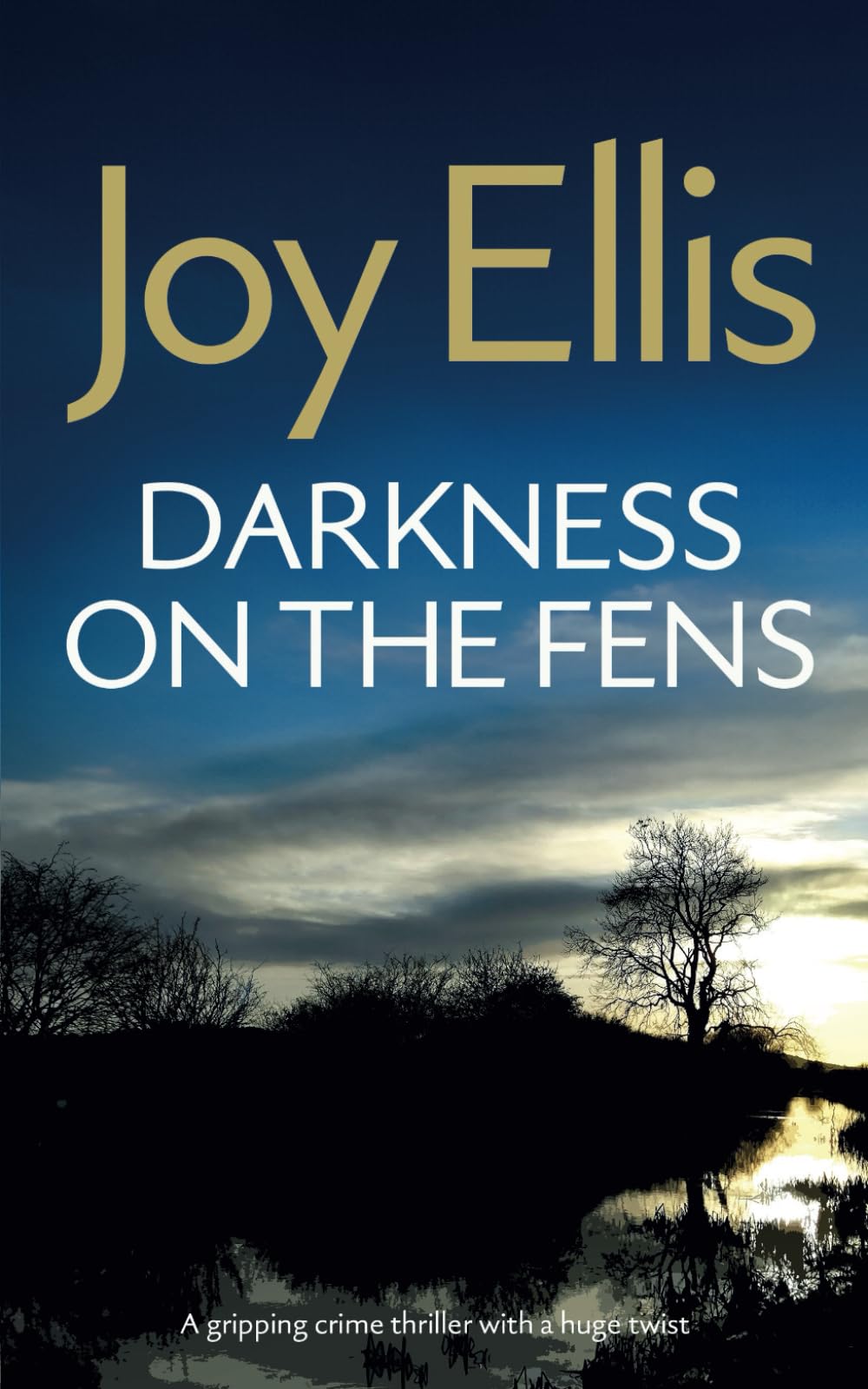 DARKNESS ON THE FENS a gripping crime thriller with a huge twist ...