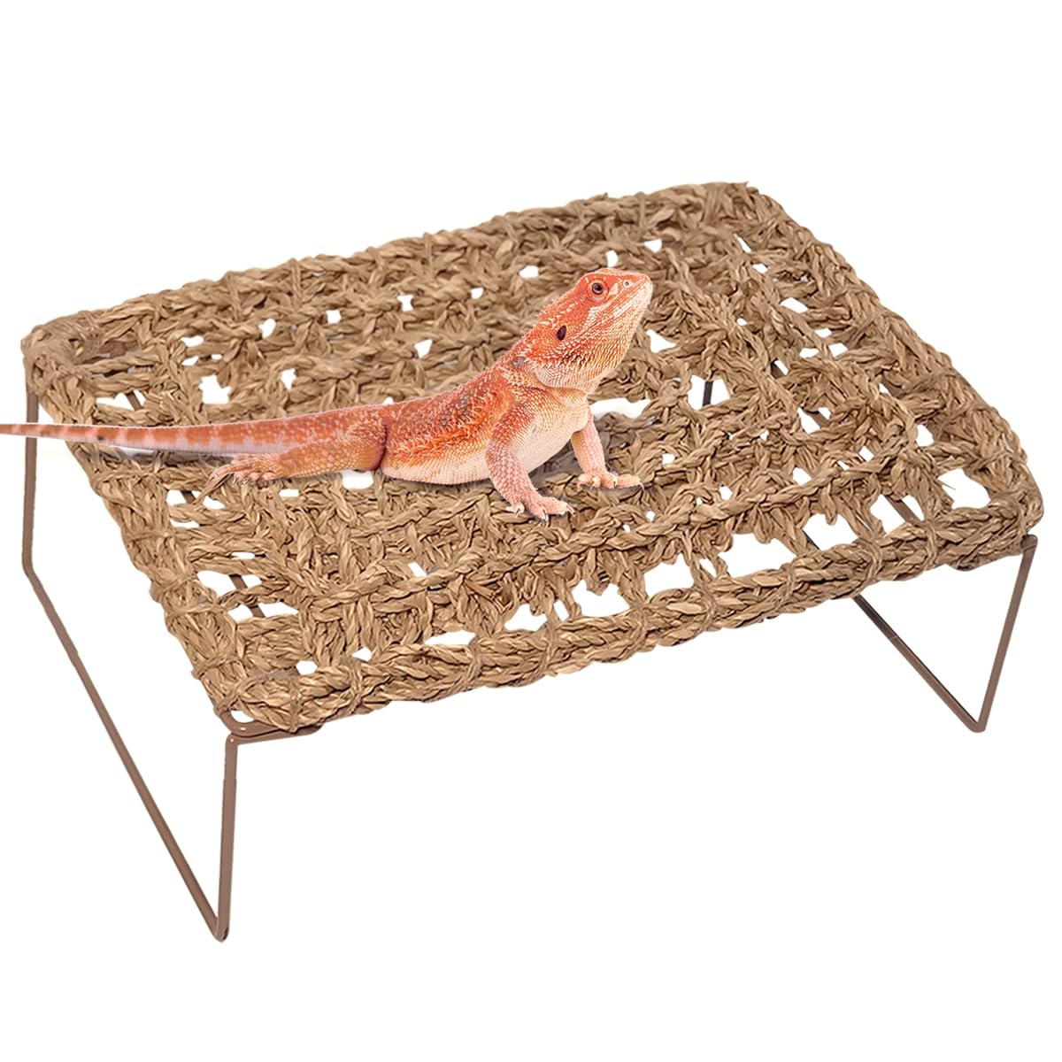 Amazon.com : AGGQQA Bearded Dragon Hammock Reptile Tank Accessories ...