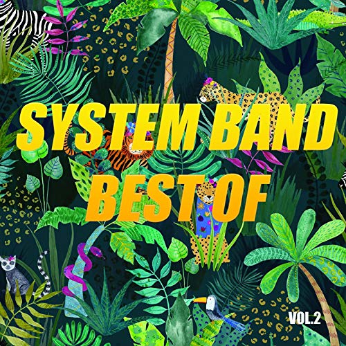 Amazon.com: Best of system band (Vol.2) : System Band: Digital Music