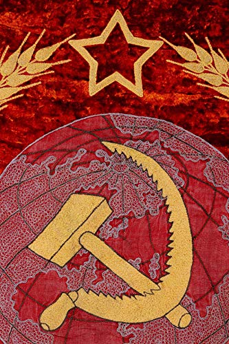 Amazon.com: The project OGAS. History of the Soviet Internet. eBook ...