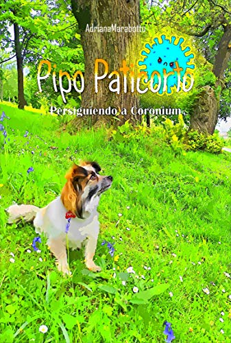 PIPO PATICORTO Persiguiendo a Coronium: Perrito asturiano que lucha ...