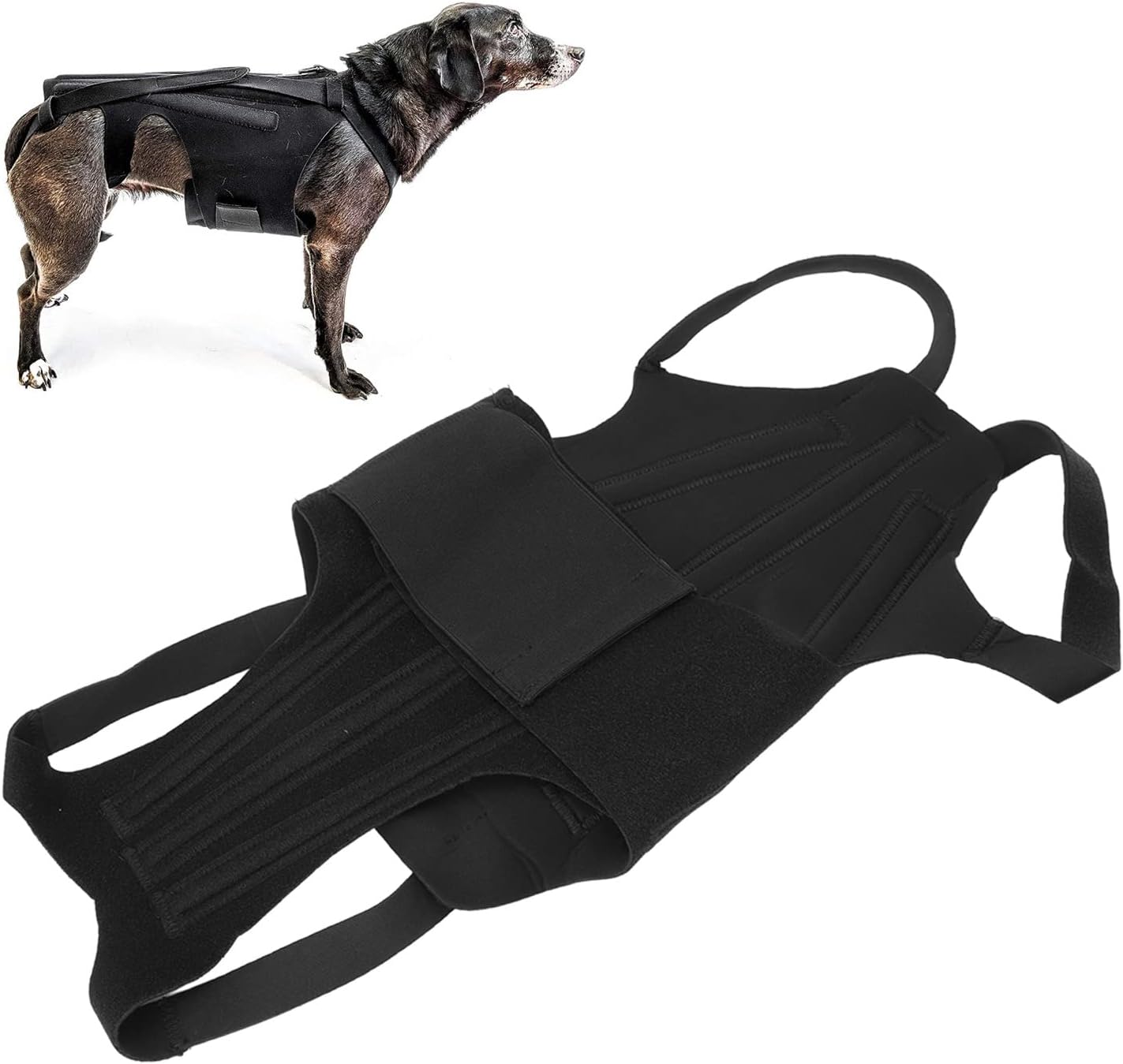 Amazon.com : Dog Back Bracer Polyester Strong Rigidity Flexible Back ...