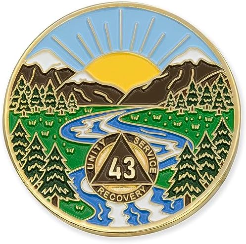 Amazon.com : 43 Year Sobriety Mint Winding River Gold Plated AA ...