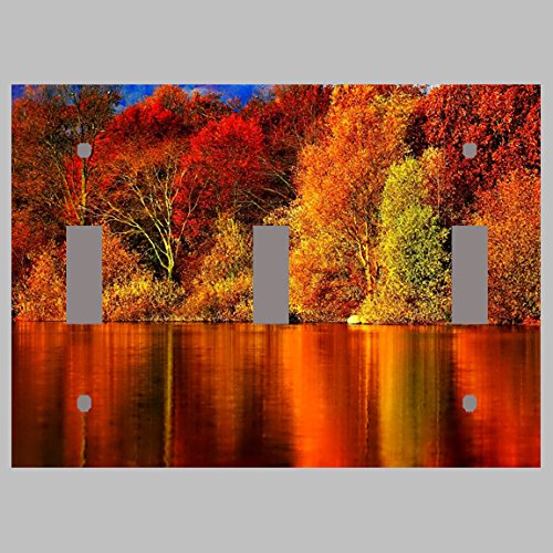 Amazon.com: FALL AUTUMN LEAF LEAVES FOLIAGE- TRIPLE Light Switch Plate ...