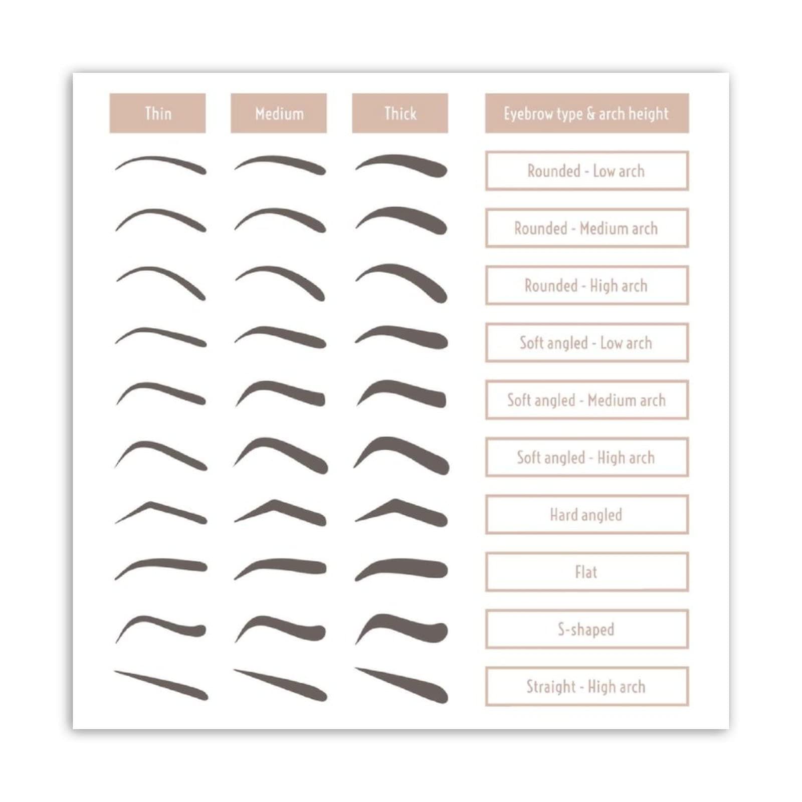 Perfect Eyebrow Shape Diagram