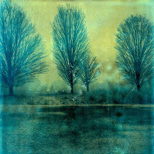 Amazon.co.jp: Snow (Dusk, Dawn) : Taylor Deupree: Digital Music