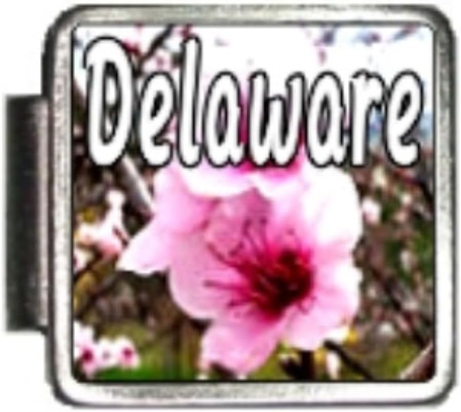 Amazon.com: Clearly Charming Delaware State Flower Peach Blossom Photo ...