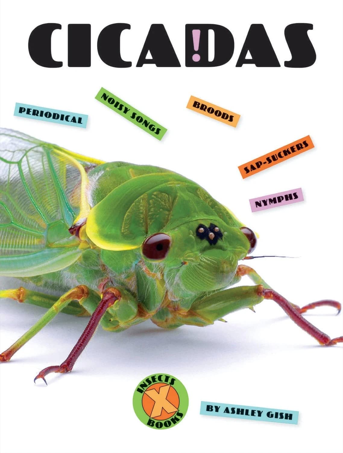 Cicadas: Ashley Gish: 9781608189892: Amazon.com: Books
