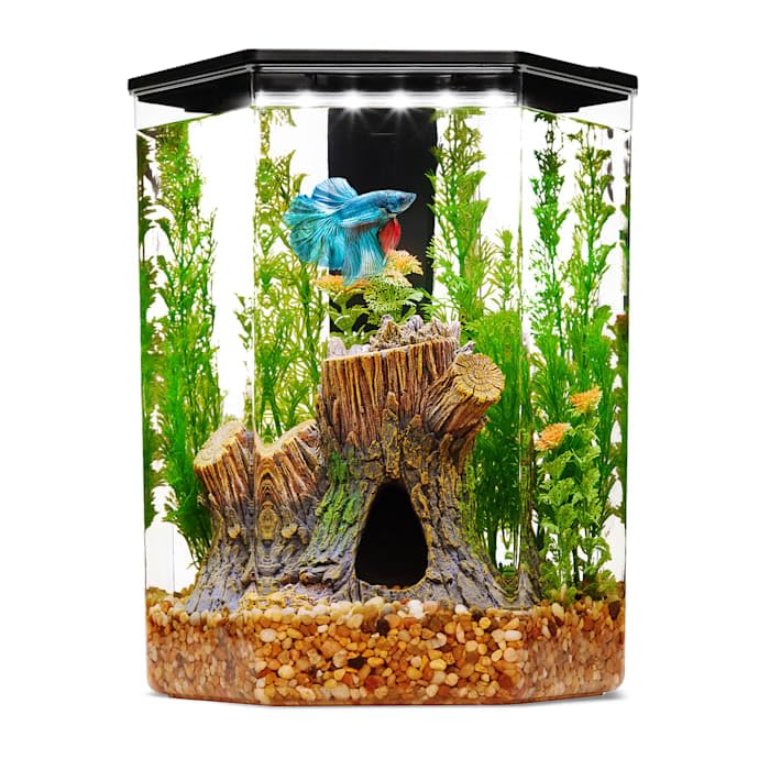 Top 5 Best Imagitarium Betta Tank To Look For - Animals Log