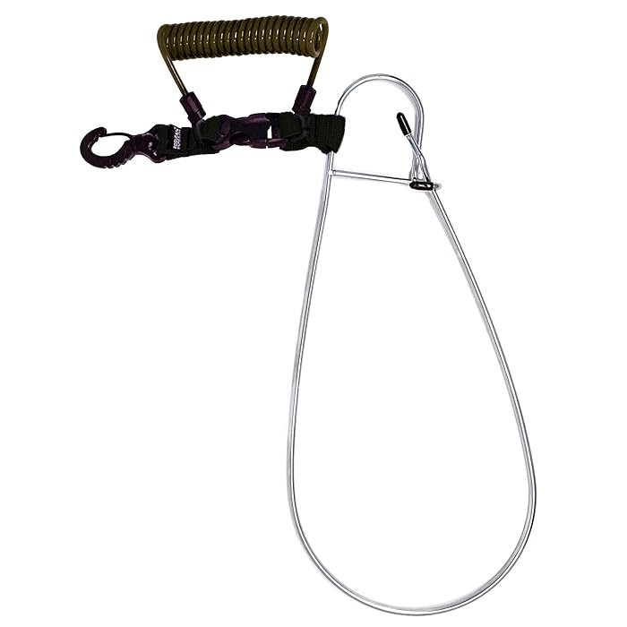 Buy Rogue Endeavor® Fish Stringer Clip, Large, Stainless Construction ...