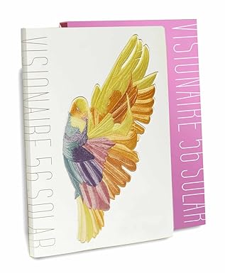 Visionaire No. 56: Solar: In Collaboration with Calvin Klein ...