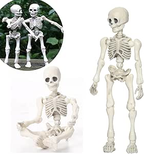 Amazon.com: uaswguDFS Small Halloween Posable Skeleton 4 Inch Realistic ...