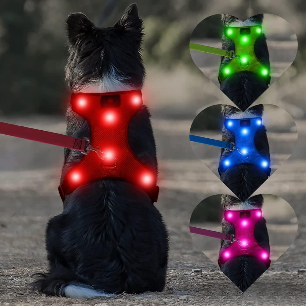 Amazon.com : LED Dog Harness - Light Up Dog Vest No-Pull Dog ...