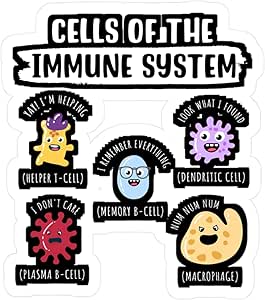 Amazon.com: Cells of The Immune System - Biology Sticker for Laptop ...