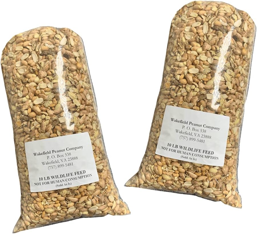 Amazon.com : Amish Eco-Farm | Bulk Raw Peanuts in Shell, Virginia Grown ...