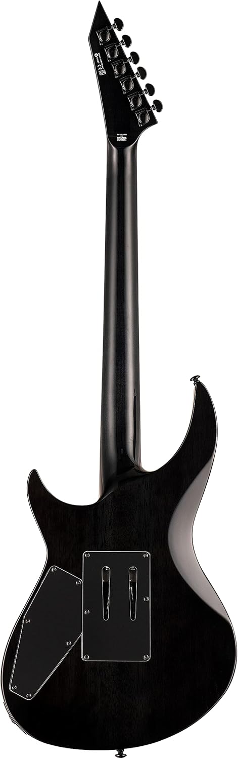 ESP 6 String LTD Deluxe H3-1000FR Electric Guitar, See Thru Black ...