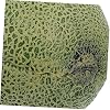 Amazon.com: GOOHOCHY Artificial Cantaloupe Fruit Model 5.46 Inch ...