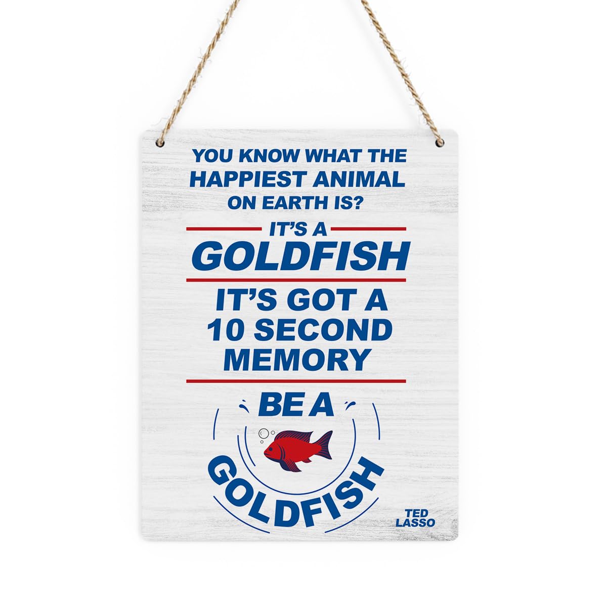 Amazon.com : Positive Affirmations Wall Decor Goldfish Farmhouse Wall ...