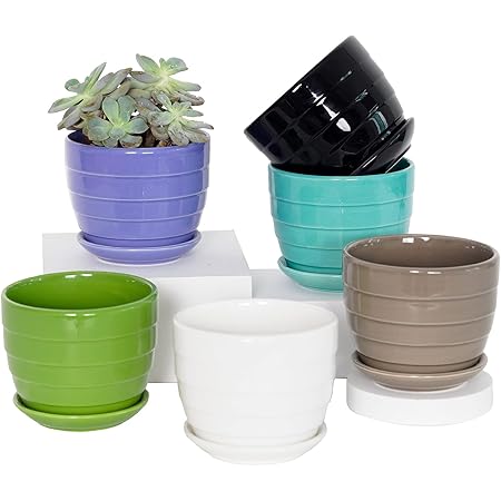 Amazon.com: Ceramic Plants Pots 3 Inch Set of 4 Flower Pots with ...