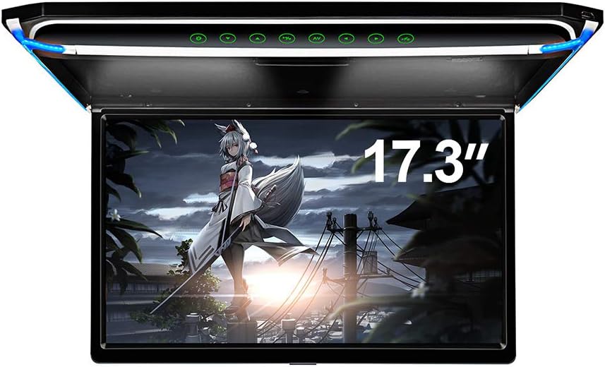 Amazon.com: Pyle Car Overhead Monitor Screen Display - 17.3 inch. LCD ...