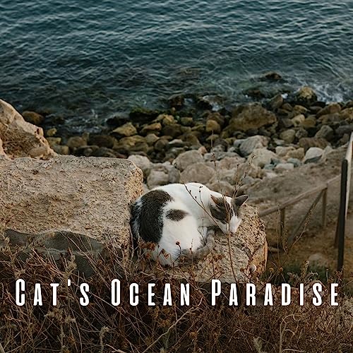 Amazon MusicでWaves of Atlantic, Essential Nature Sound & Cat Music Hour ...