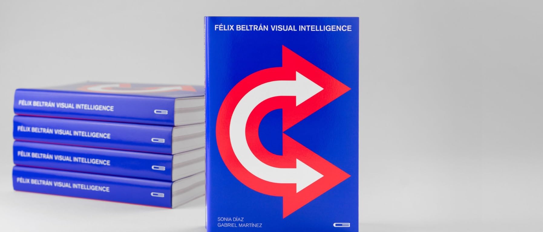 Buy Visual Intelligence Book Online at Low Prices in India | Visual ...