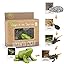 Amazon.com: Montessori Life Cycle Learning & Education Toys, Plastic ...