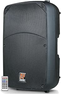 Caixa Ativa Staner Bi-Amplificada 15" 2-Vias 300WRMS SR315A : Amazon.com.br: Eletrônicos