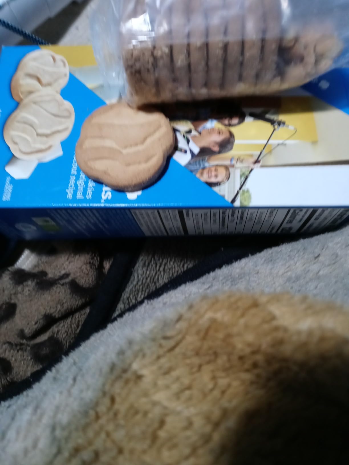 Amazon.com: Girl Scout Cookies-Trefoils (Old Fashion Shortbread) 2 ...