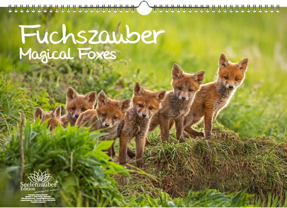 Calendrier perpétuel Renard et Renards Format A3 : Amazon.fr ...