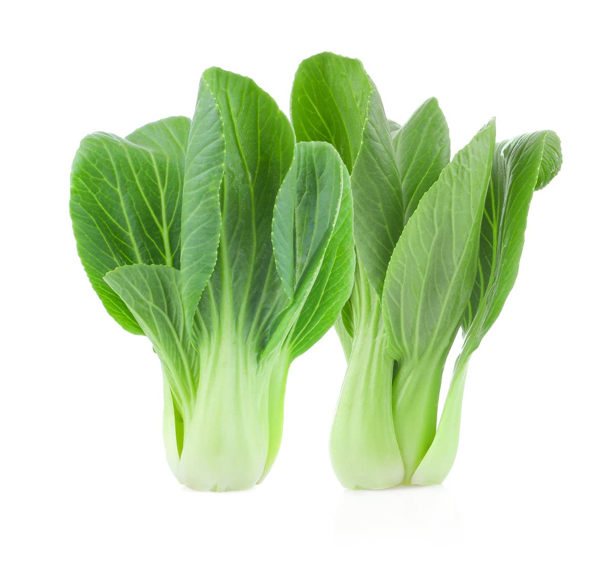 Buy Pak Choi Dwarf Canton White - Brassica rapa subspchinensis ...