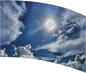 Amazon.com : Pro-Graphx - Color Guard Practice Flags, Marching Band ...