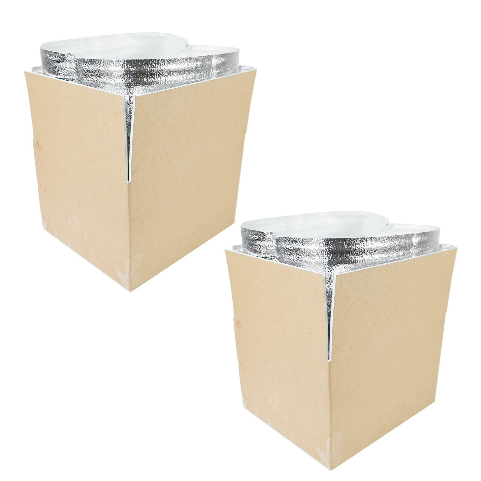 STRBOXONG Thermo Chill Double Insulated Carton with Foil Insulated Bag ...