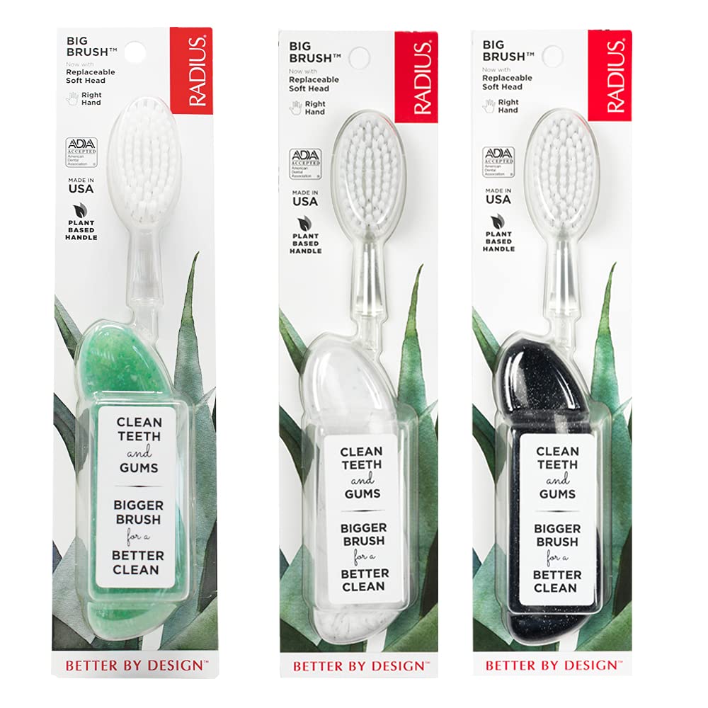 Amazon.com : RADIUS Toothbrush, Original Big Brush with Replaceable ...