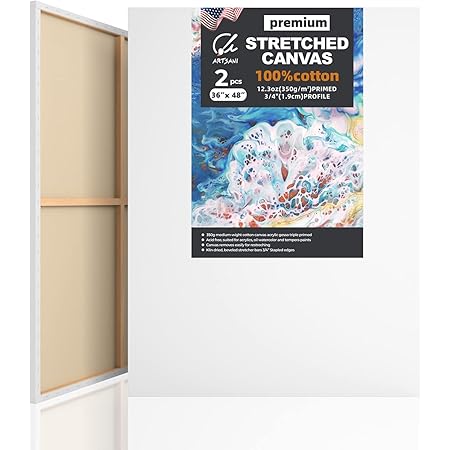 Amazon.com: Pre Stretched Canvases for Painting 24x36" 2 Pack Large ...