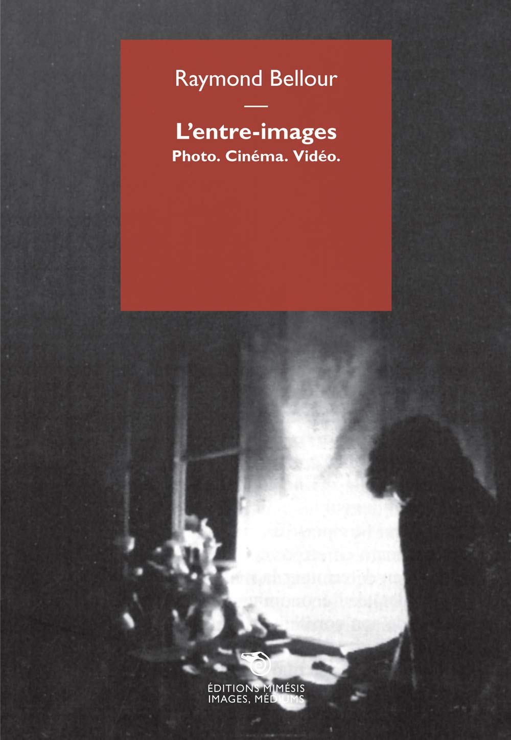 L'entre-images: Photo, cinéma, vidéo: Bellour, Raymond: 9788869761959 ...