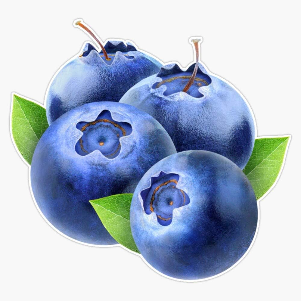 Amazon.com: Blueberries Sticker Vinyl Bumper Sticker Decal Waterproof 5 ...