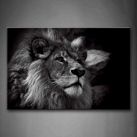 Amazon.com: Baisuart-D0162 Canvas Prints Wall Art Grey Lion Stretched ...