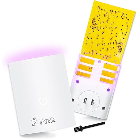 Amazon.com: Raid Essentials Flying Insect Light Trap Starter Kit, 1 ...